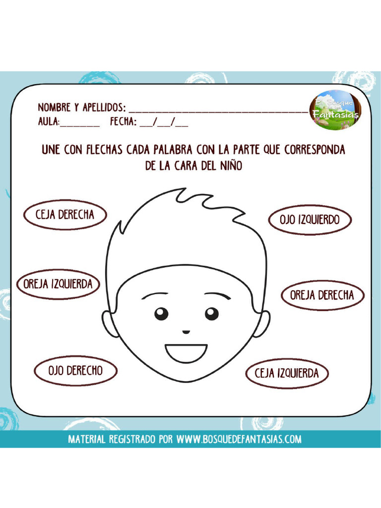 Fichas lateralidad | PDF