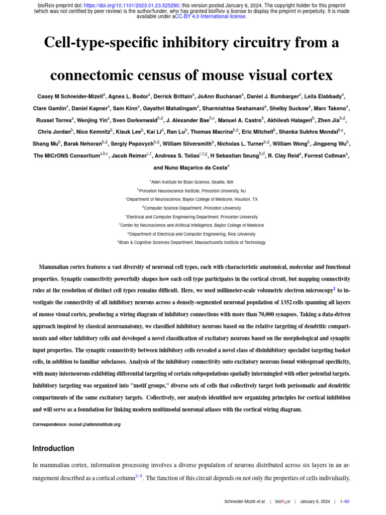 Cell-Type-Specific Inhibitory Circuitry From A Connectomic Census of Mouse Visual Cortex | PDF ...
