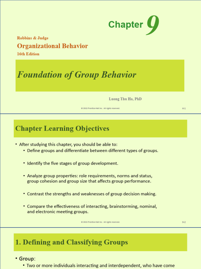 Chapter 9 10 Robbins - Judge OB16th Individual Behavior | PDF | Self Esteem | Human Communication