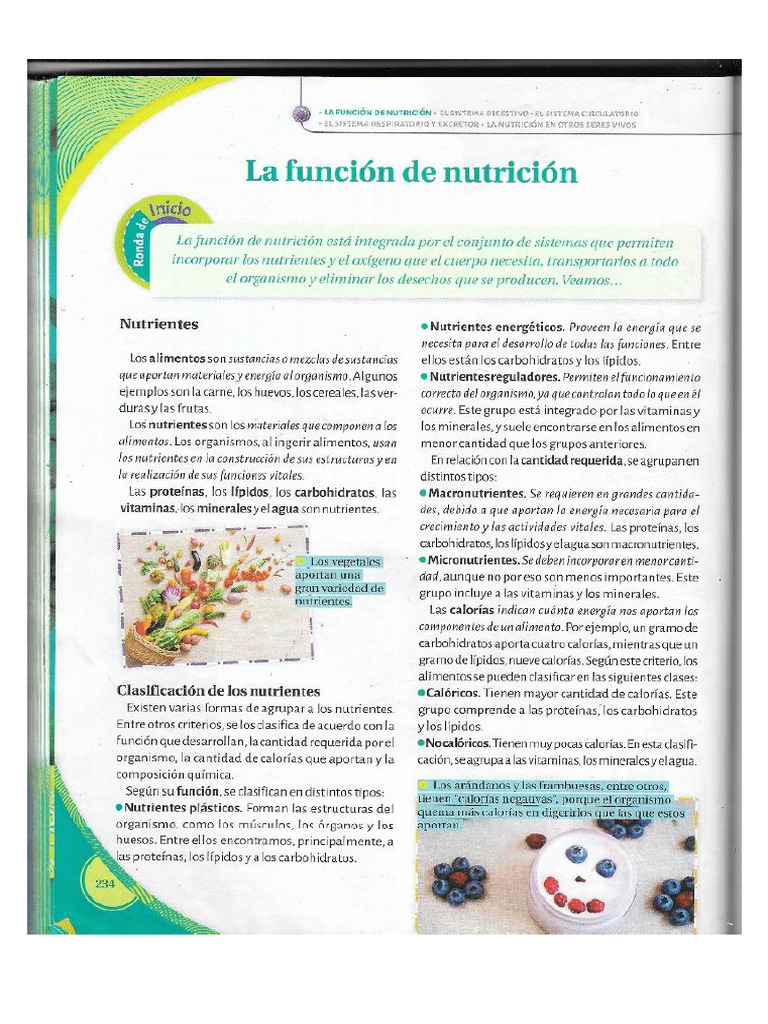 La Funcion de Nutricion | PDF