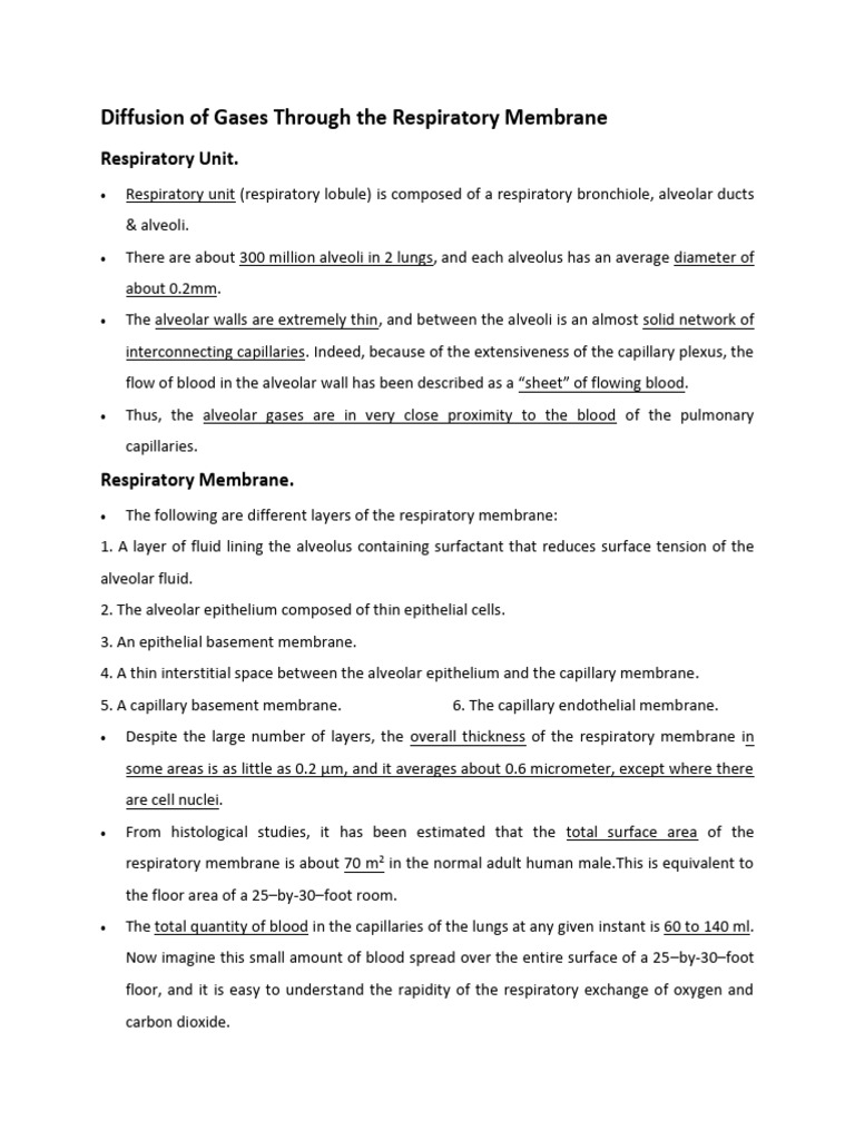 3respiratory System Detail Pdf Hemoglobin Respiratory System 2184