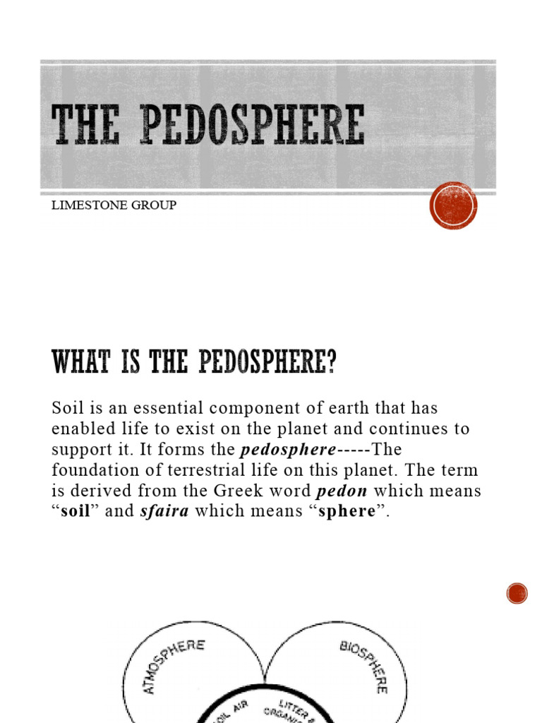 Limestone Pedosphere | PDF | Soil | Crop Rotation