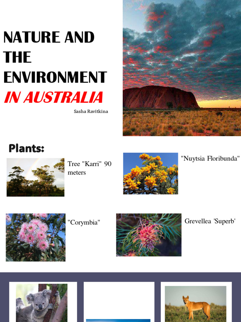 Presentation Australia | PDF