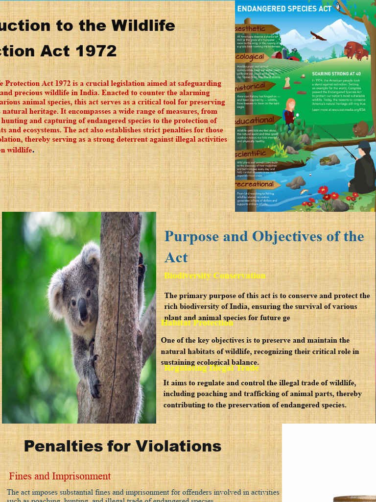 Wildlife Protection Act 1972 Overview | PDF | Conservation Biology ...