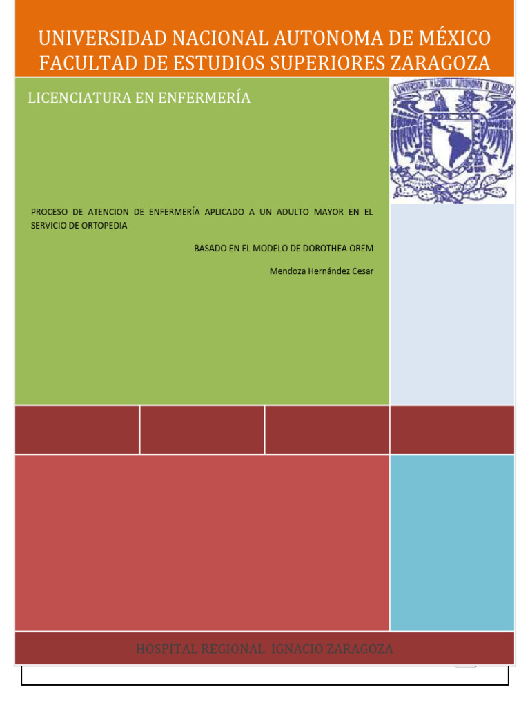 PAE Processo de Atencion de Enfermeria | Descargar gratis PDF ...
