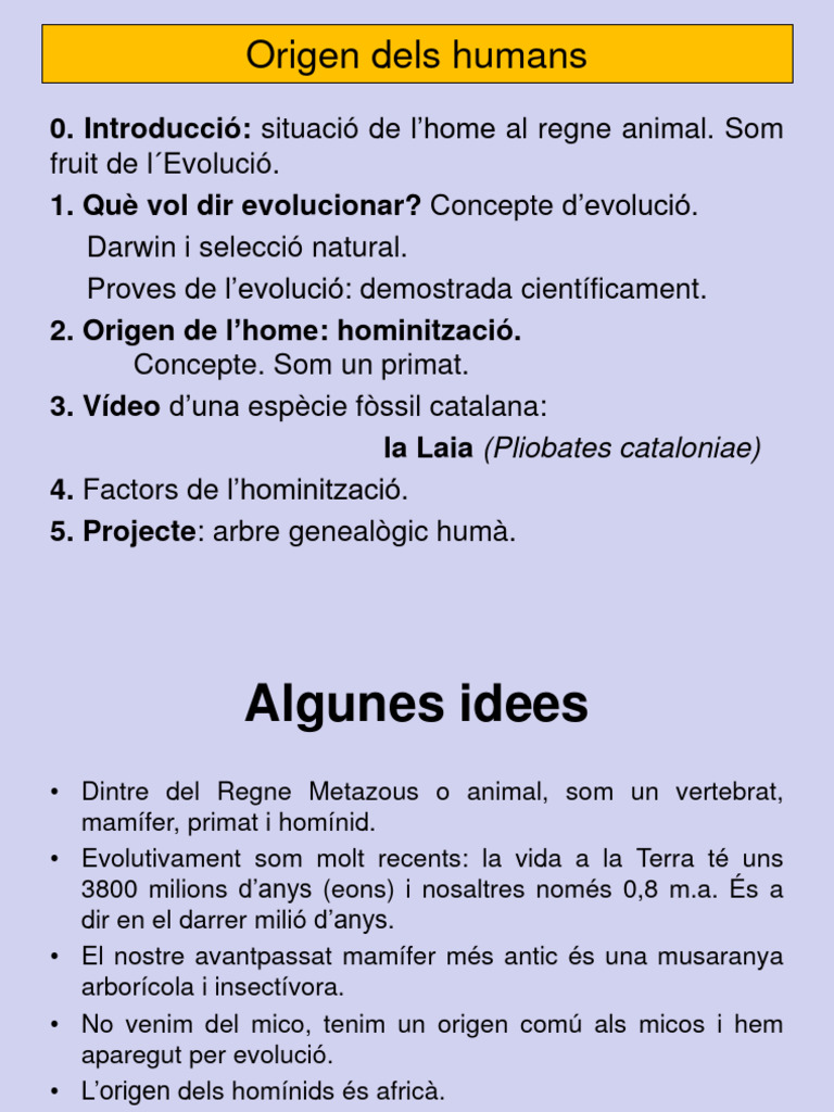 23 Evo Humana Penjar | PDF