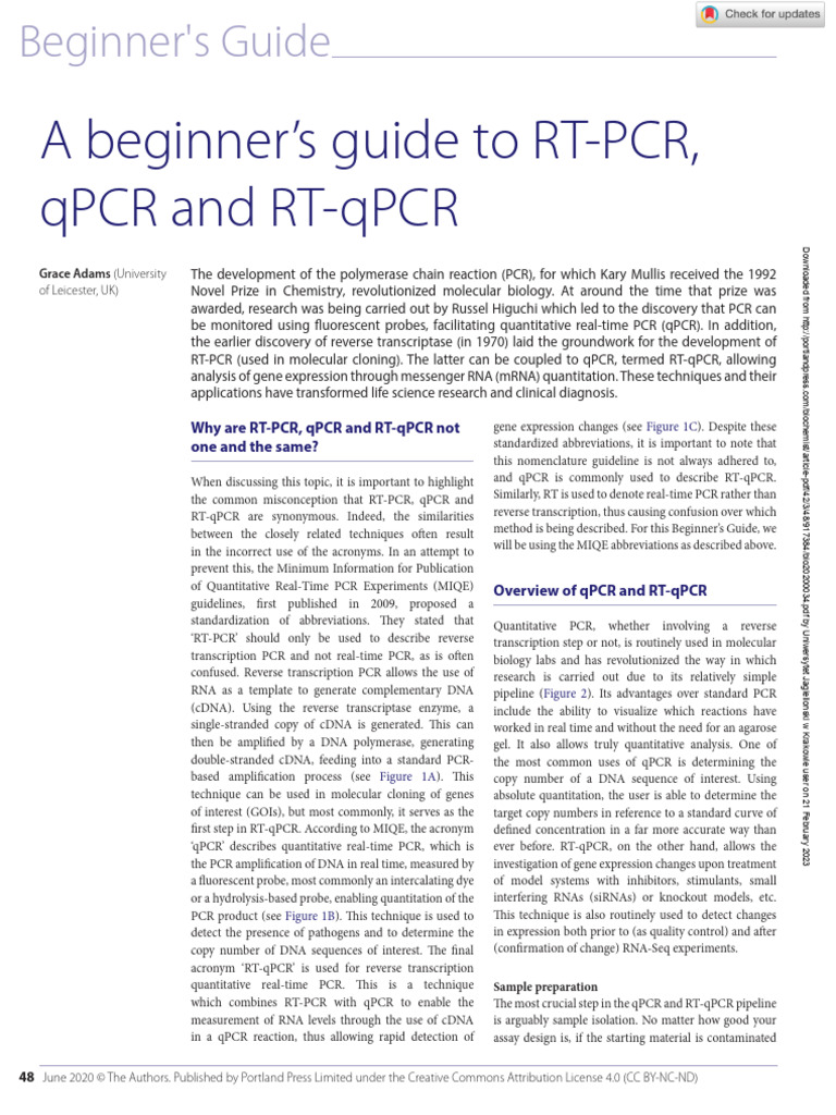 Beginner's Guide to RT-PCR Techniques | PDF | Real Time Polymerase ...