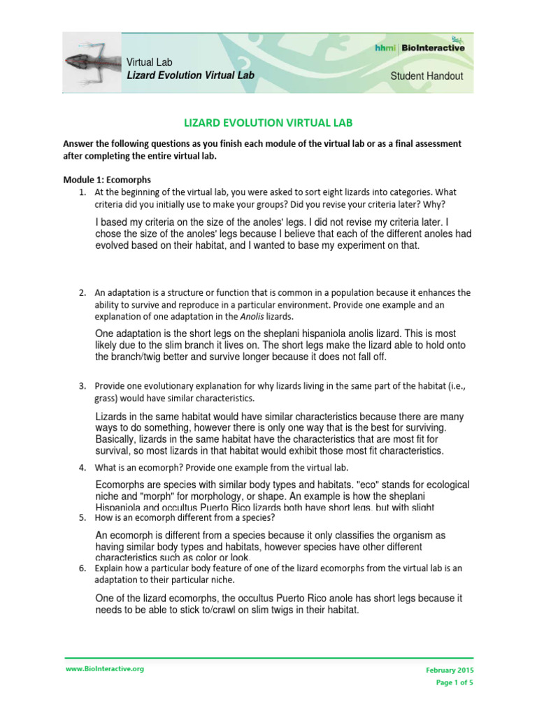Lizard Evolution Virtual Lab Student Worksheet | PDF | Ecological Niche ... Lizard Evolution Virtual Lab Student Worksheet | PDF | Ecological Niche ...