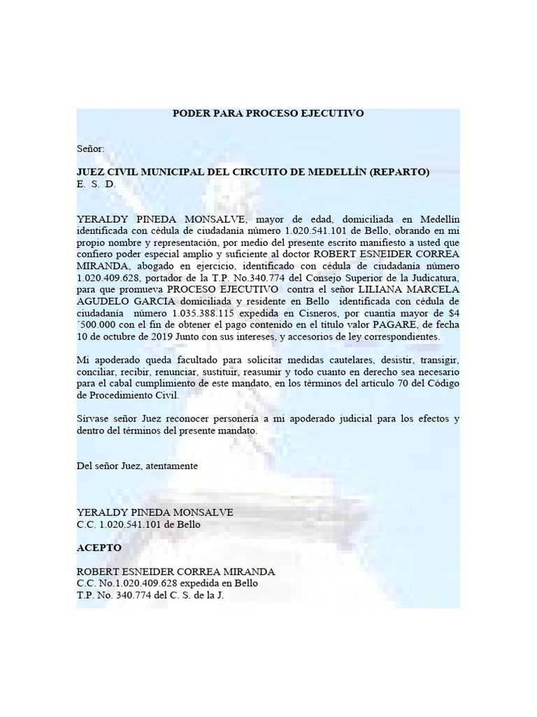 Modelo de Poder para Proceso Ejecutivo | PDF