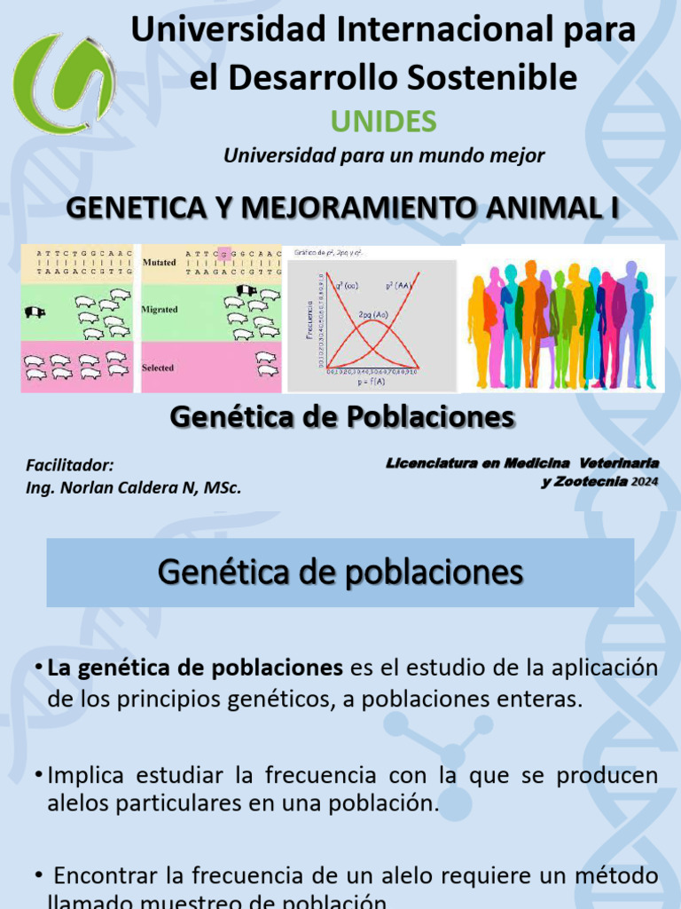 Genetica de Poblaciones | PDF | Dominancia (Genética) | Alelo