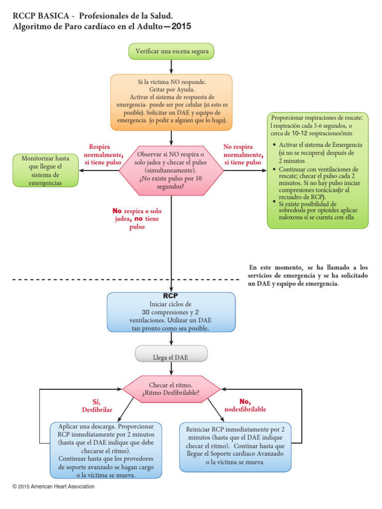 Algoritmo RCP Basica Adulto Profesionales de La Salud 2015 | Descargar gratis PDF | Reanimación ...