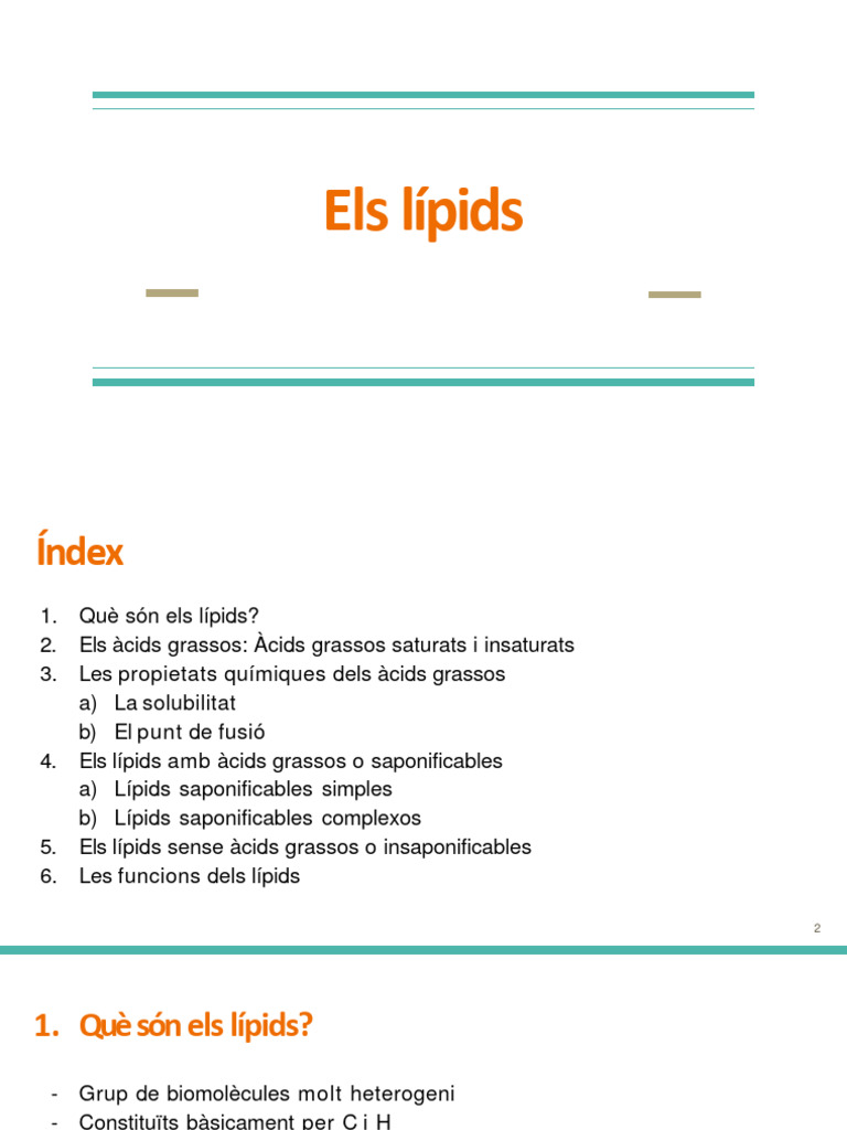 Tema 3. Lípids | PDF