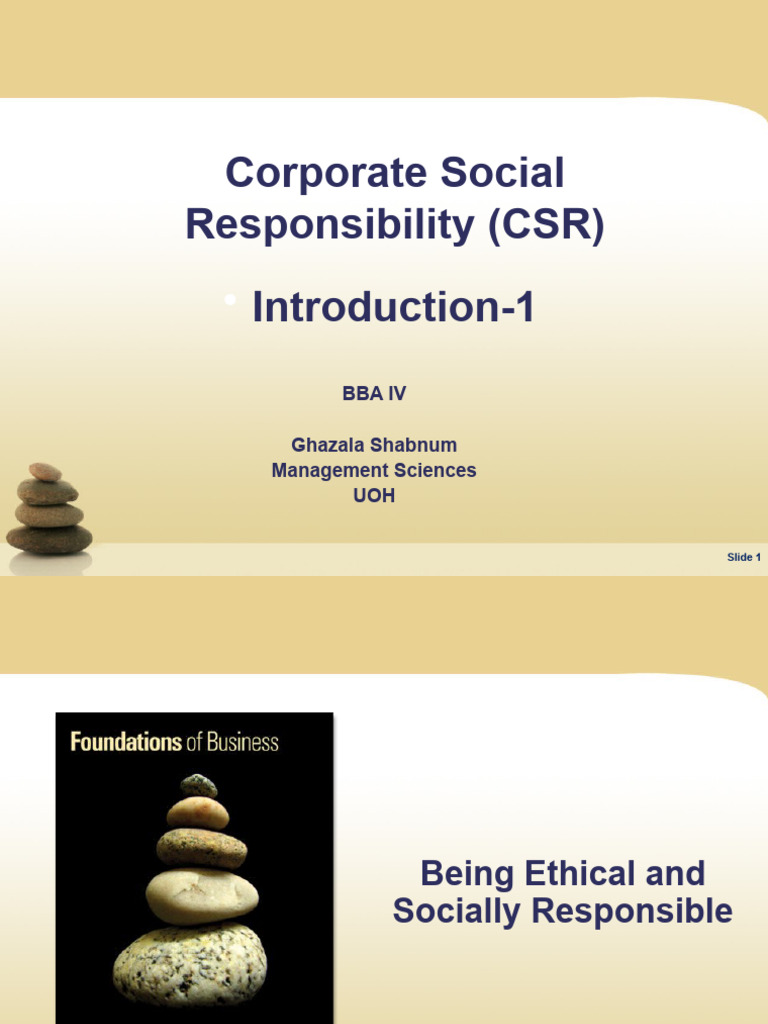 1-CSR Introduction-A | PDF | Corporate Social Responsibility | Minority Group