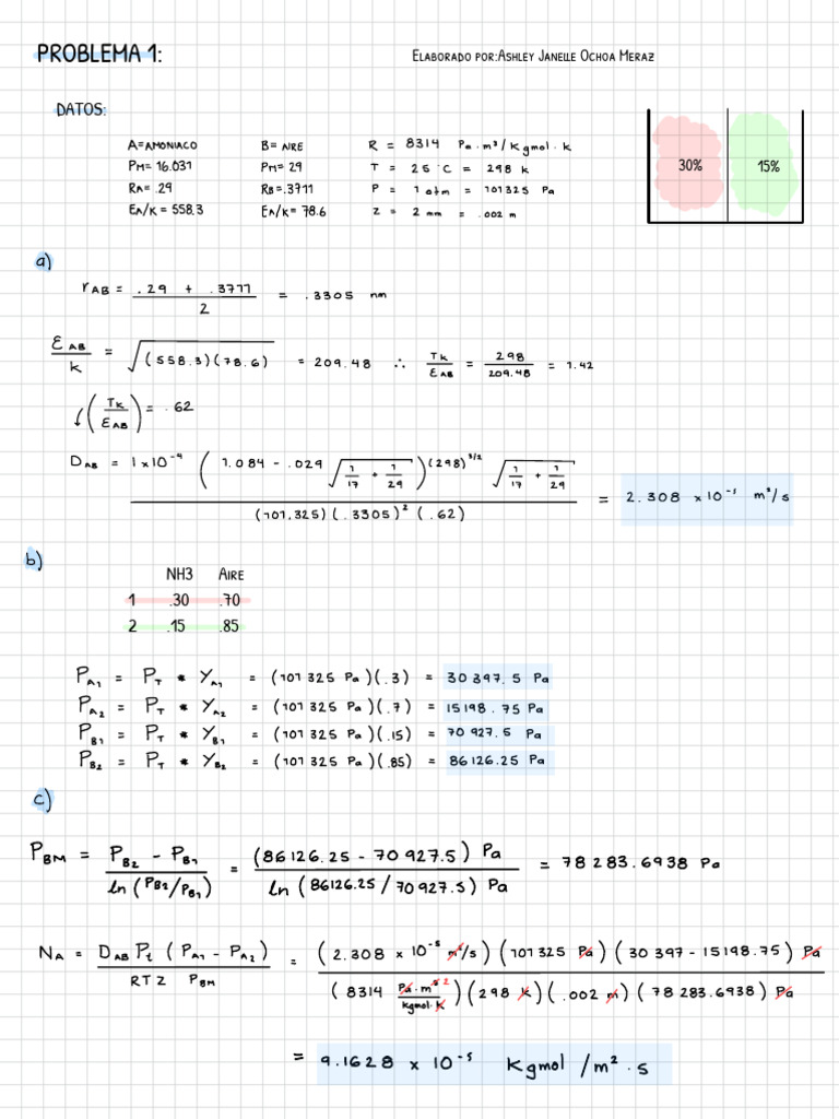 Ashley Janelle Ochoa Meraz - EXAMEN | PDF