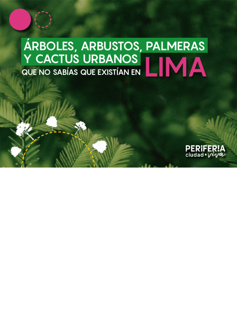 Cat Logo Rboles Arbustos Palmeras y Cactus Urbanos Que No Sab As Que Exist An en Lima | PDF ...