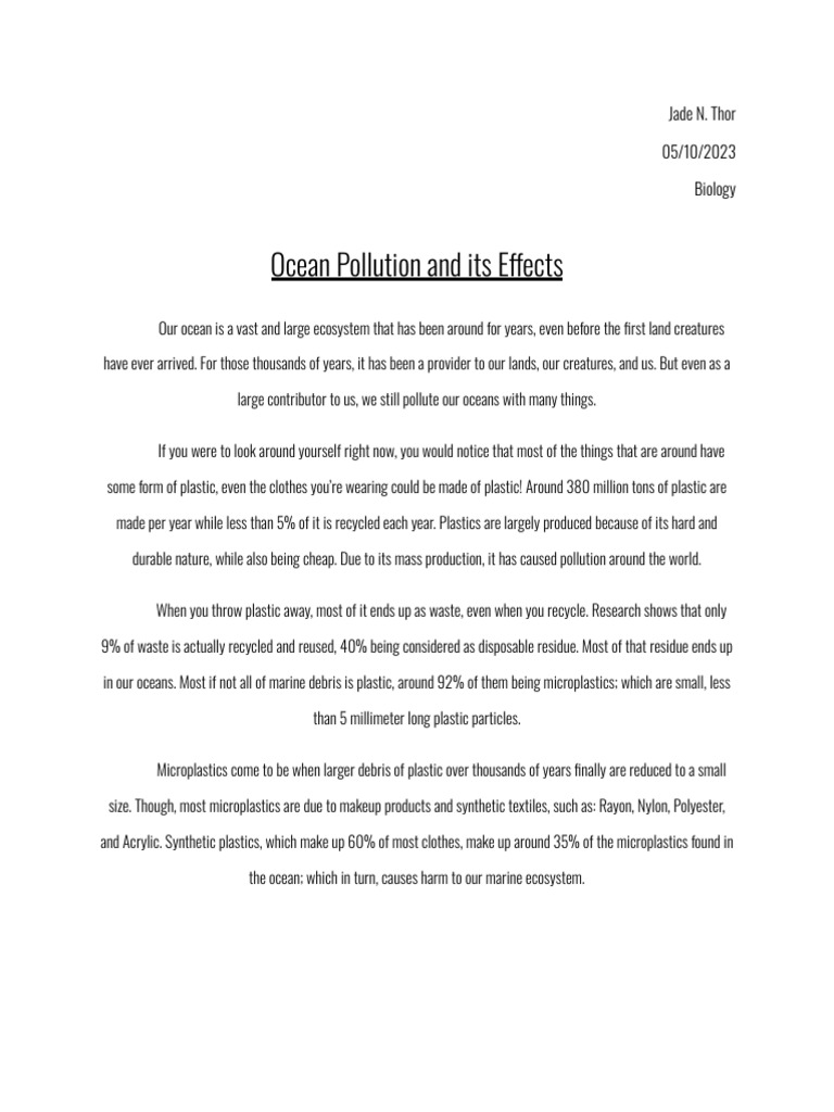 Ocean Pollution Essay 1 | Download Free PDF | Plastic | Earth Sciences
