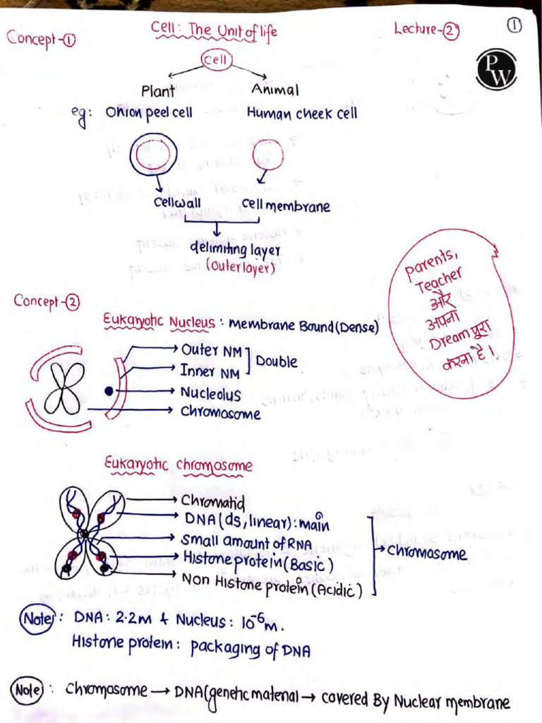 Cell - The Unit of Life 02 - Handwritten Notes - Arjuna NEET 2025 | PDF