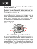 Frog Anatomy and Systems Guide | PDF | Vertebra | Peritoneum