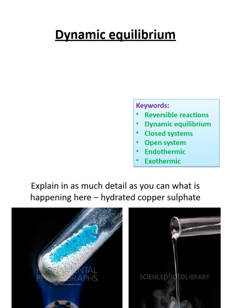 5 Dynamic Equilibrium | PDF | Chemical Equilibrium | Chemical Reactions