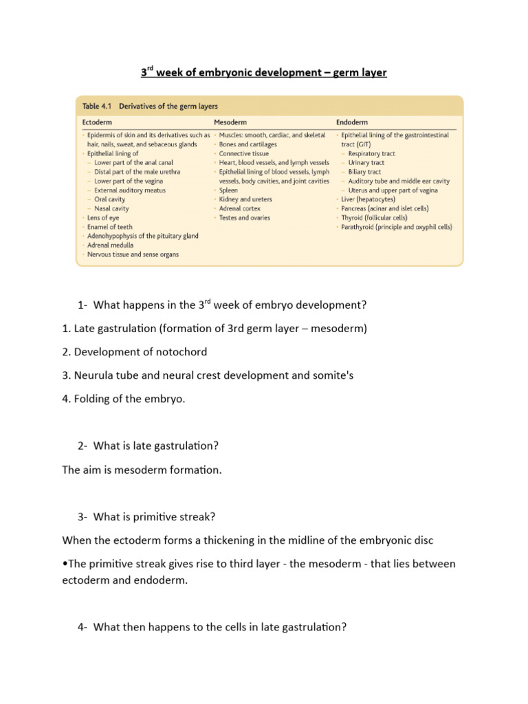 Embryonic Development Week 3 Pdf Biology Anatomy
