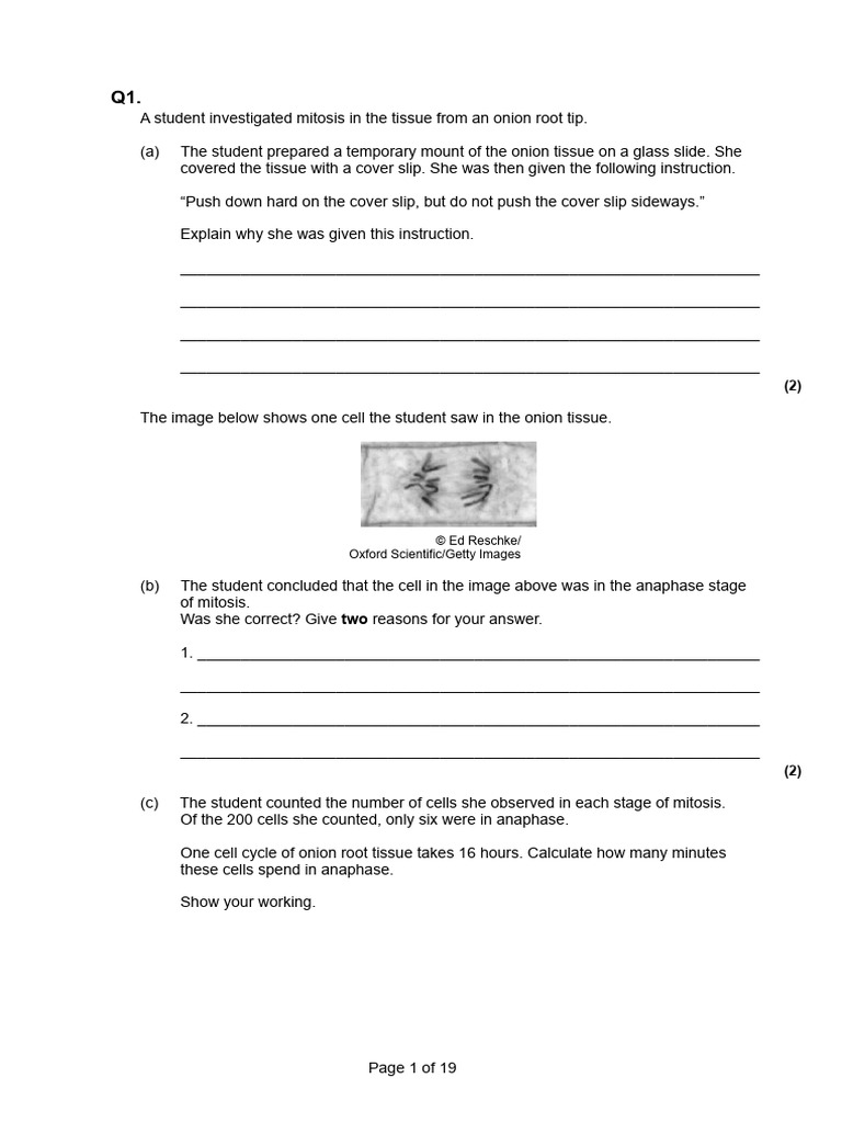 A01 Short Answer Questions | PDF | Cell (Biology) | Mitochondrion