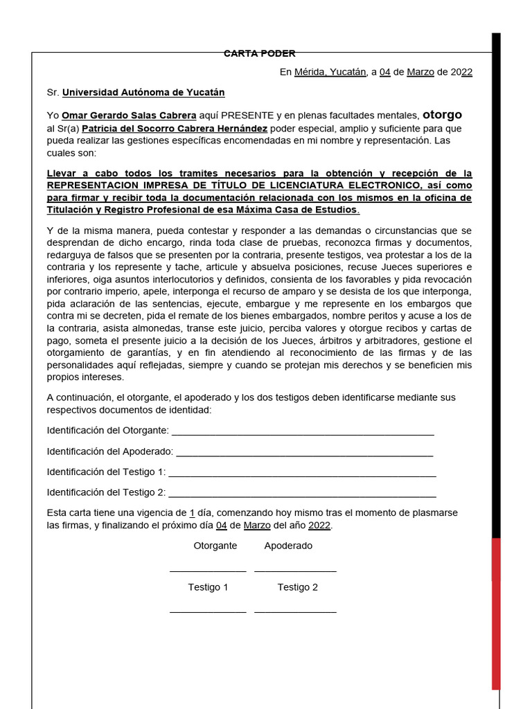Carta Poder Simple | PDF | Testigo | Justicia