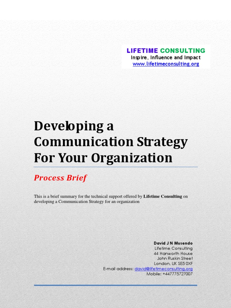 Communications Strategy Brief Lifetime Consulting | PDF | Capacity ...