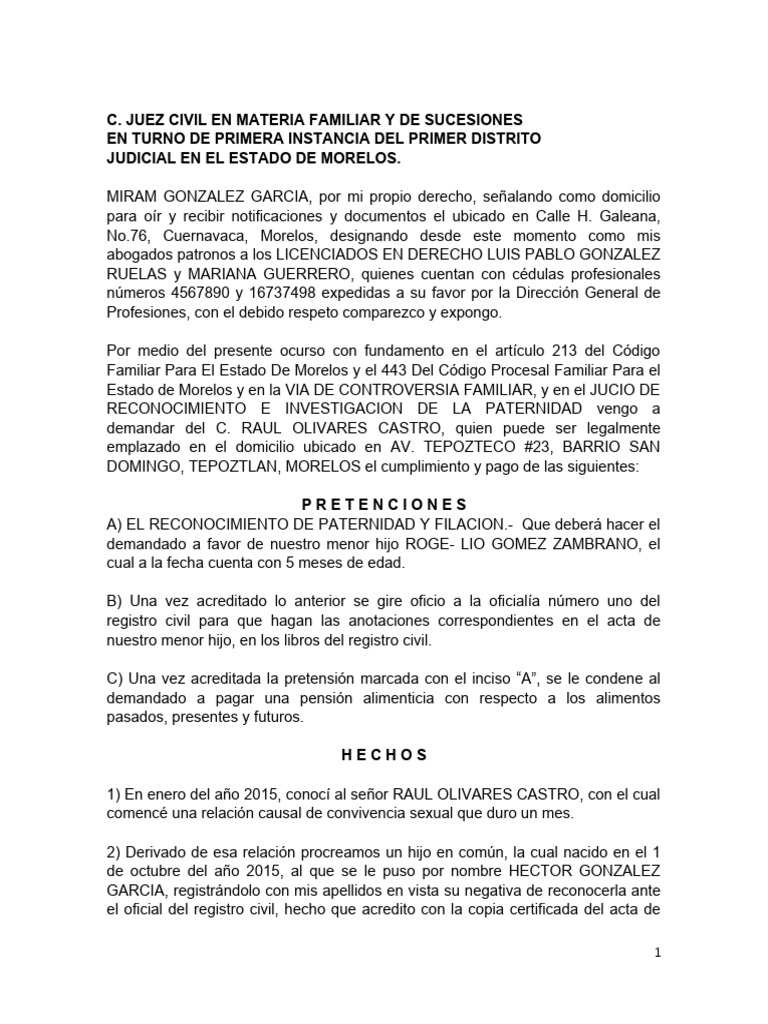 Ejemplo de Demanda | Descargar gratis PDF | Demanda judicial | Juez