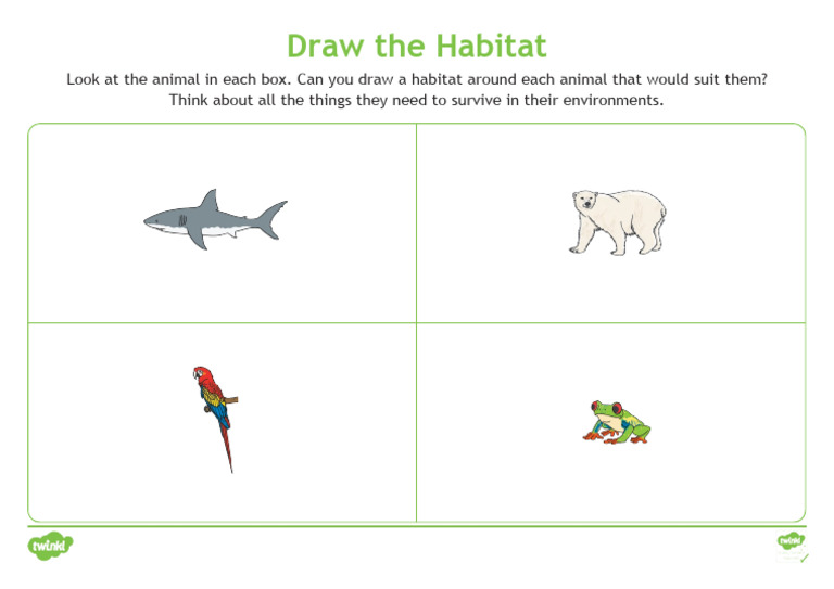 T SC 1667905982 Draw The Habitat Activity Sheet - Ver - 1 | PDF