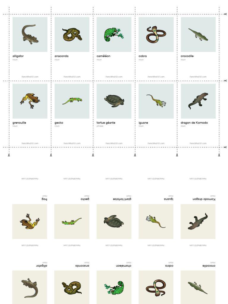 French Vocabulary: Reptiles & Amphibians | PDF | Foreign Language ...