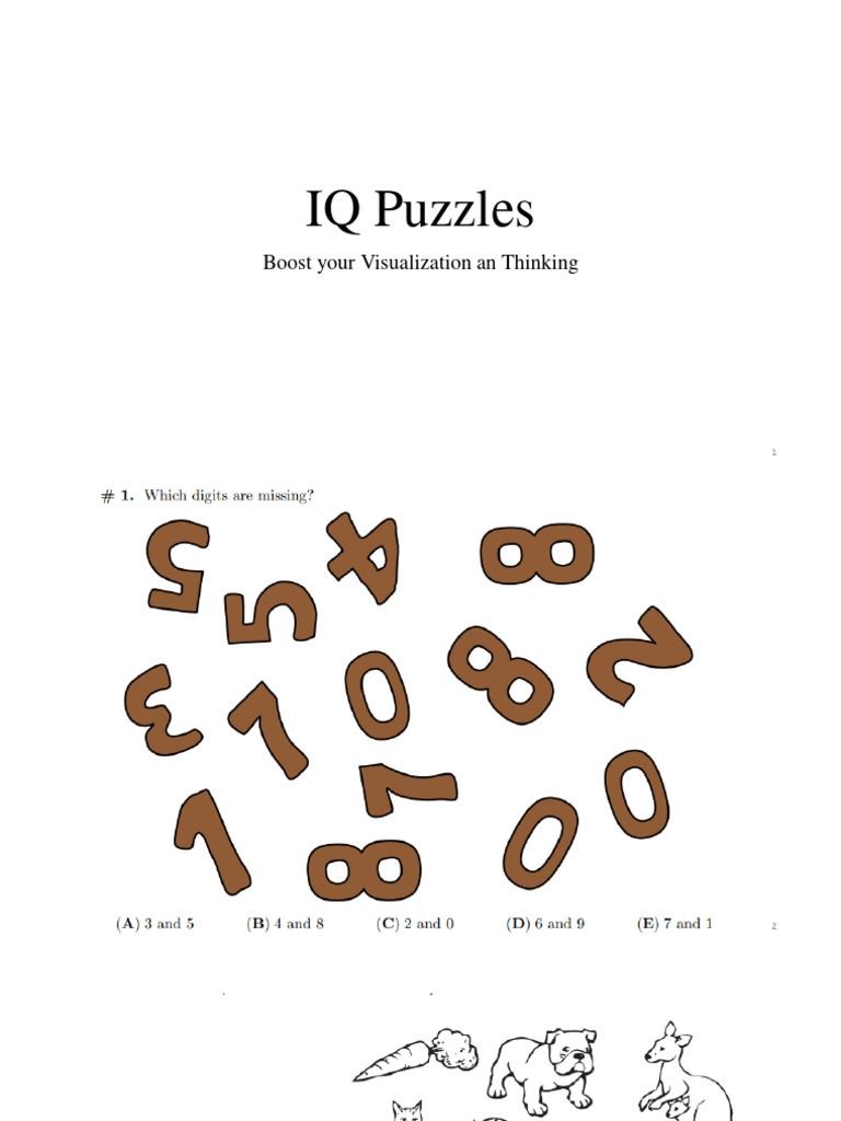IQ Puzzles | PDF