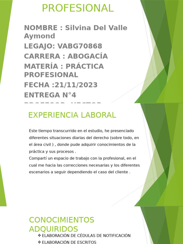 TP4 - PPT - Práctica Profesional PDF | PDF | Negocios