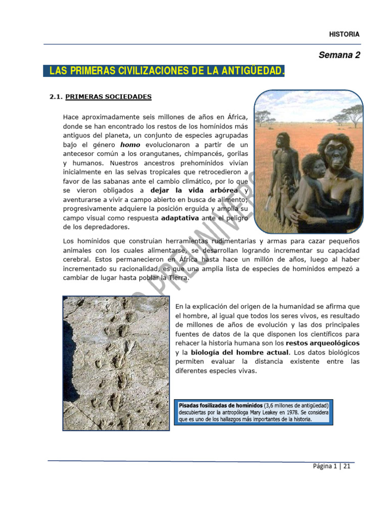 Separata Historia Segunda Semana | PDF | Mesopotamia | Evolución humana