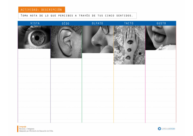 Describe Lo Que Percibes A Traves de Los Sentidos | PDF