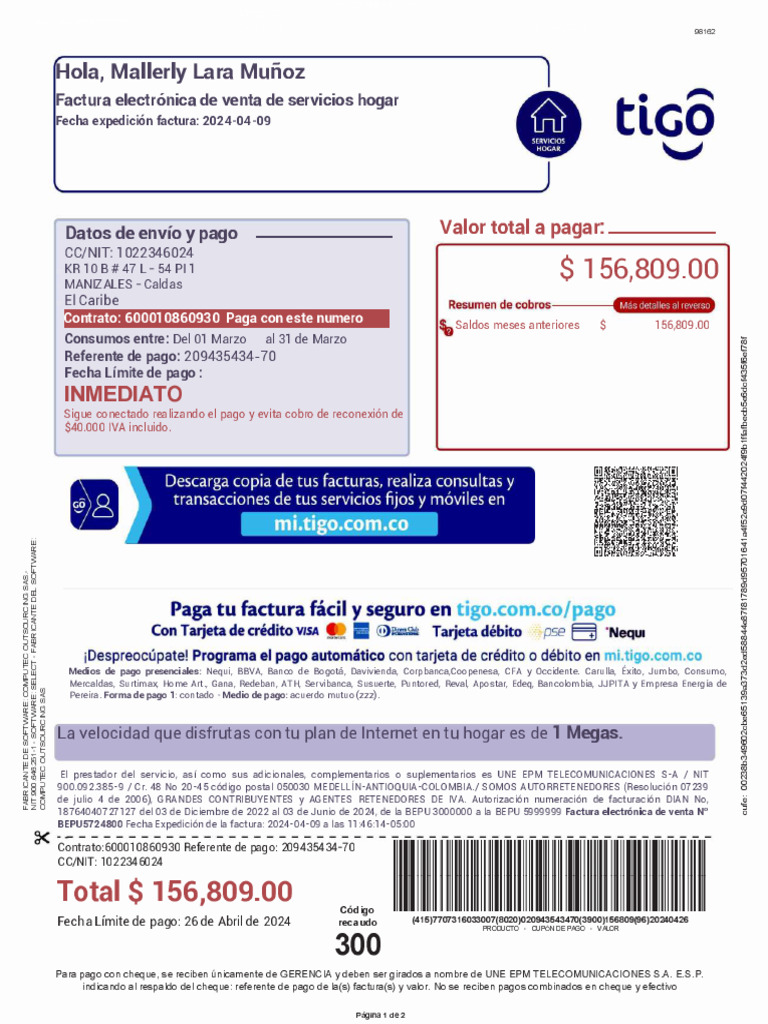 Zuleika | PDF | Industrias de servicio | Bancos