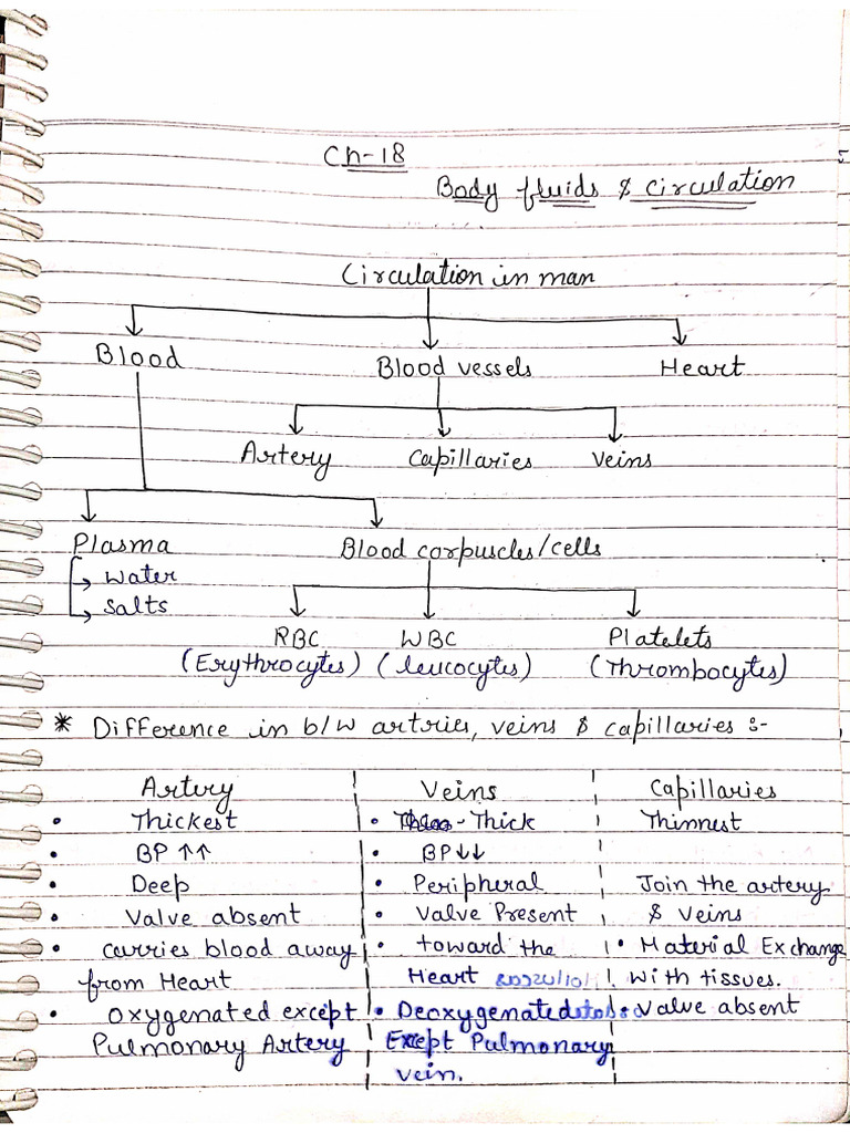 Blood Fluids and Circulation | PDF