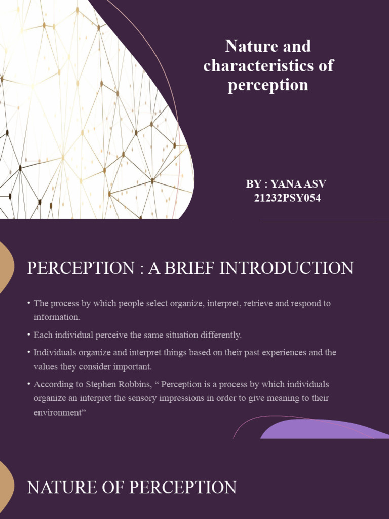 Perception: Understanding the Basics | PDF | Perception | Experience
