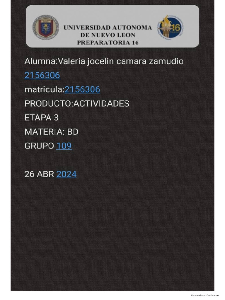 VJCZ - Actividades Prácticas de Excel - E3 - BD | PDF