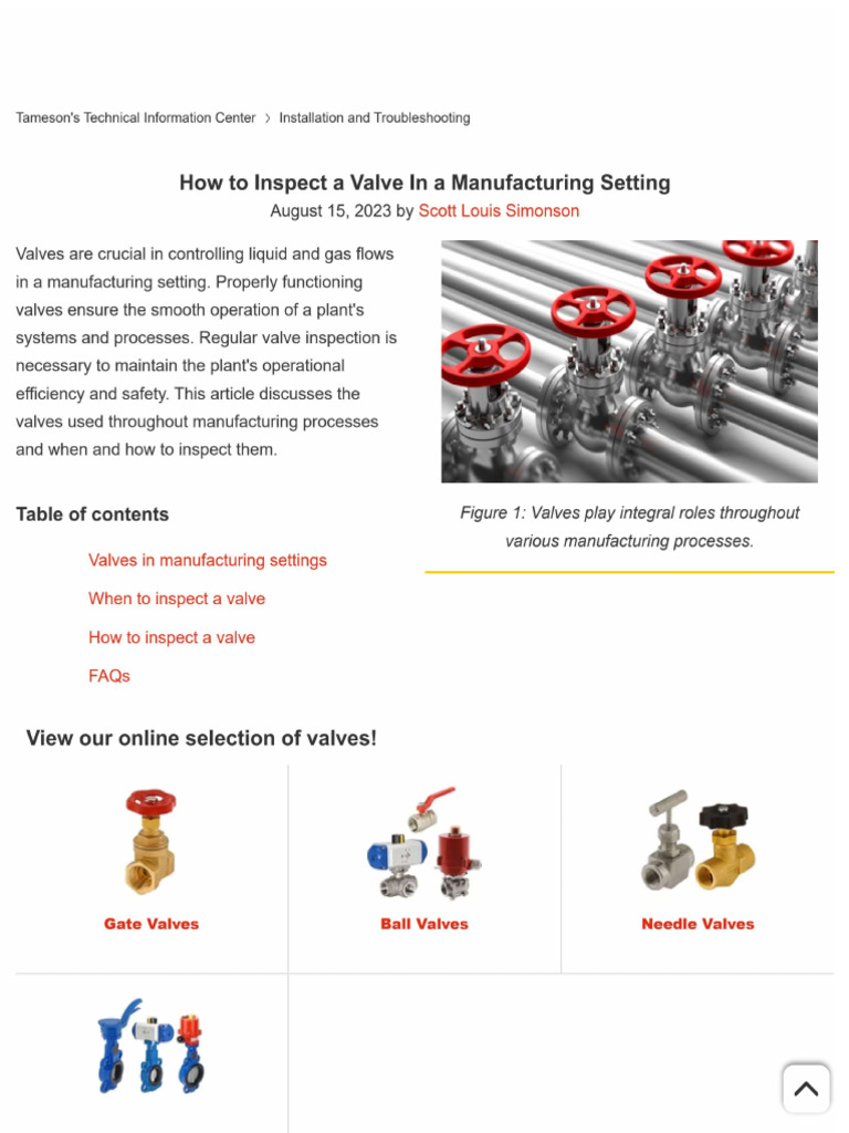 Valve Inspection How To | PDF