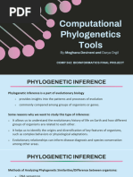 Steps To Construct A Phylogenetic Tree Using MEGA Software | PDF | Sequence Alignment ...