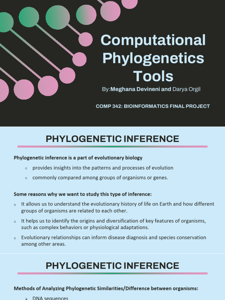 Phylogenetic Inference - Darya and Meghana | PDF | Phylogenetics | Phylogenetic Tree