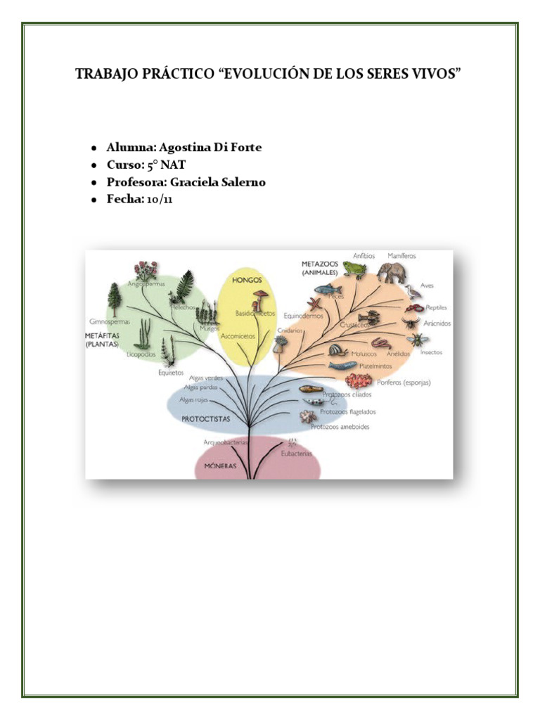 Evolución TP | PDF | Digestión | Tallo de la planta