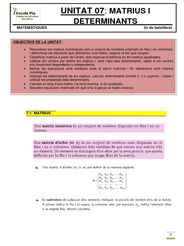Unitat 7 Matrius I Determinants | PDF