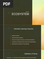 Lesson 10: Forest Ecosystem Overview | PDF | Trees | Rainforest