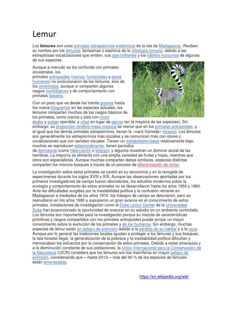 Lemur 2 | PDF | Zoología