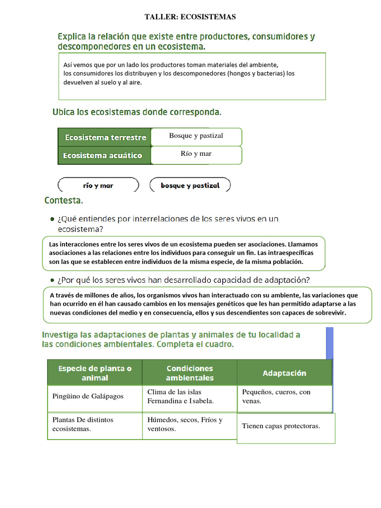 Interacciones en Ecosistemas | PDF