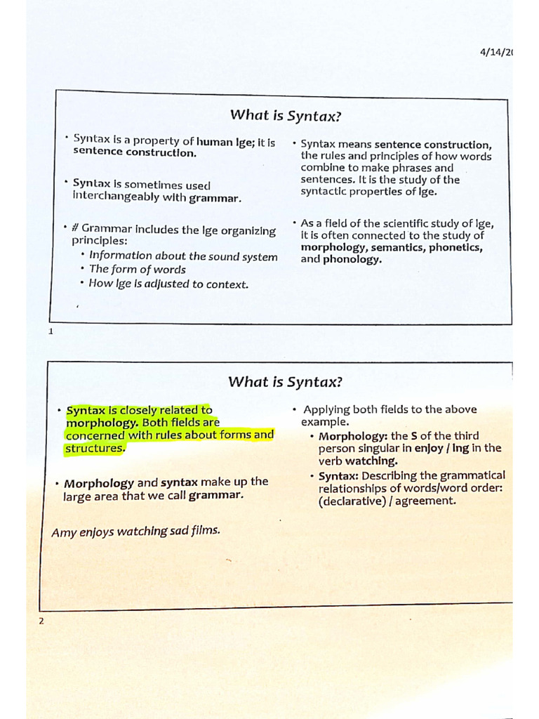 Syntax 1 Pdf 
