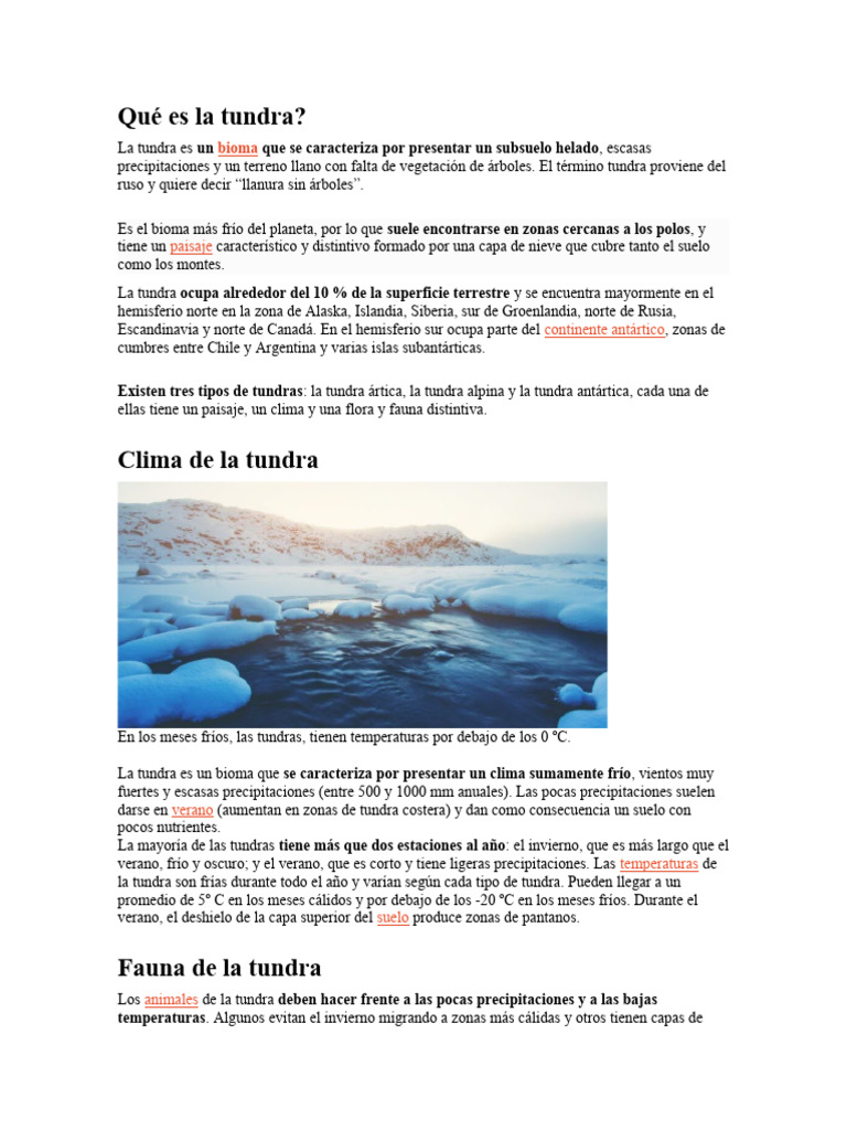 Tundra | Descargar gratis PDF | Ciencias de la Tierra | Geografía Física