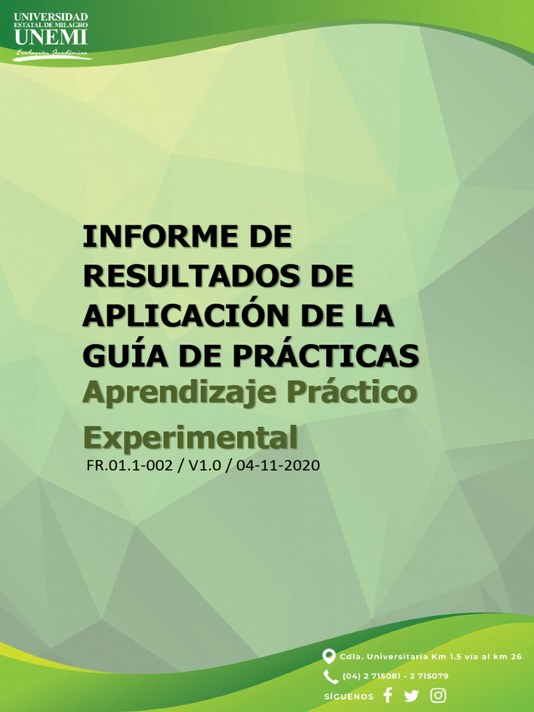 S15-Trabajo Práctico Experimental - 2 Terminado | PDF | Business | Cuero