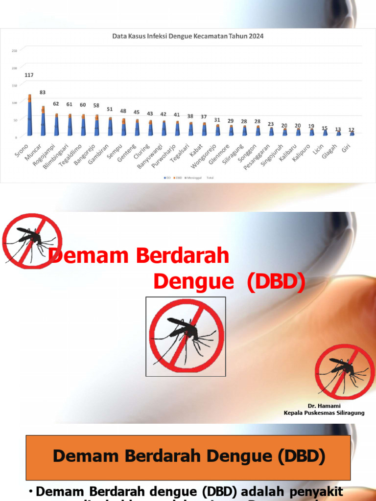 Penyuluhan Demam Berdarah Dengue | PDF